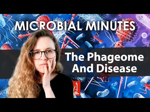The Phageome’s Role in Health and Disease