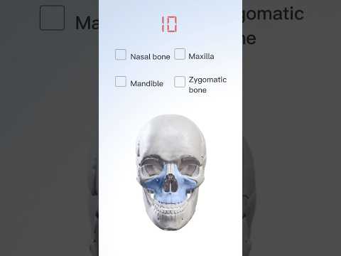 Anatomy quiz - skull bones in 3D | Have you guessed it right? #anatomy #3danatomy