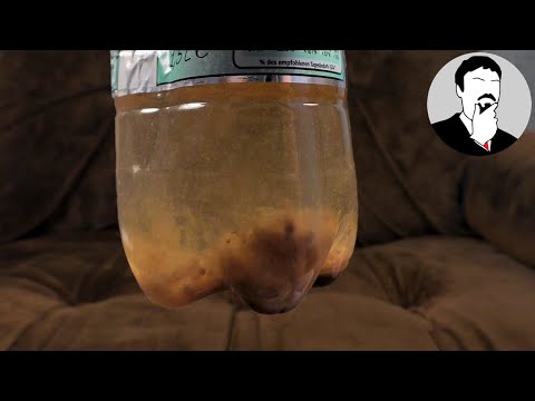 10-Year-Old Bitter Lemon Drink (Bottle) | Ashens