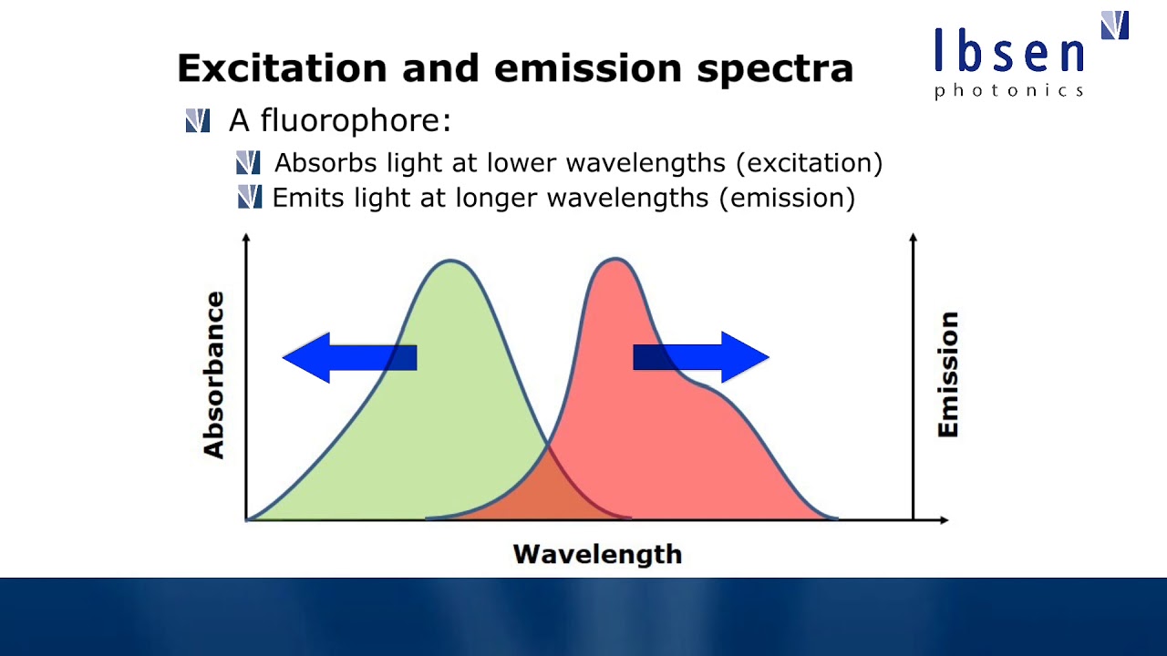 Fluorescence Spectroscopy Tutorial - Basics of Fluorescence