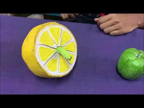 Bookworm's Virtual Story Time 033, based on 'The Very Hungry Caterpillar' by Eric Carle