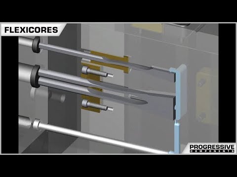 FlexiCores