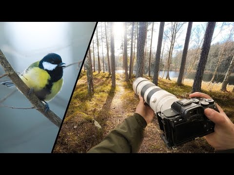 Relaxing POV Nature Photography|Early Spring Vibes