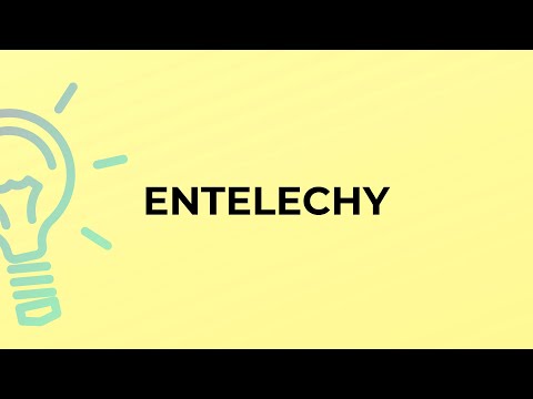 What is the meaning of the word ENTELECHY?
