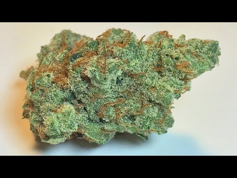 "Dark Star" - (Strain Review)