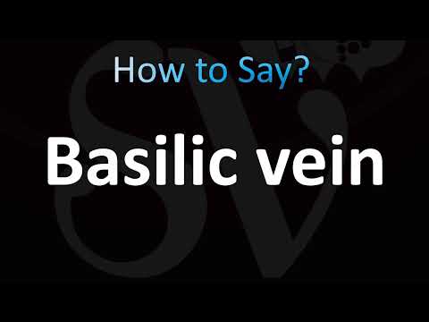 How to Pronounce Basilic vein (Correctly!)