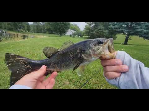 Bass fishing in 2025
