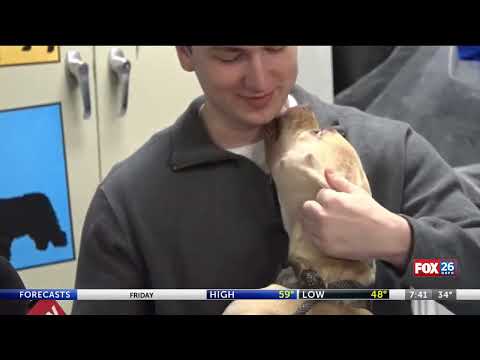 Pet Pals: St. Joseph Animal Shelter highlights energetic pup 'Moe Moe'