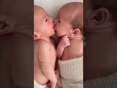 Twins kissing I New born baby I #baby #twins #ytshorts #reels #babykiss #babyvideos #kidsvideo