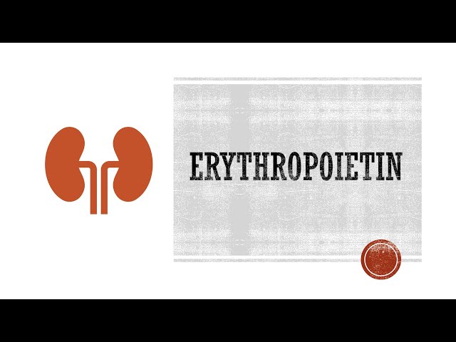 Anemia - Epofit 4000 IU Injection, Recombinant Human Erythropoietin ...