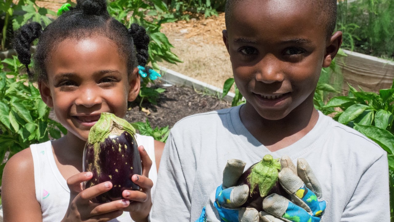 Trees NC: Improving Lives And Communities By Planting Trees
