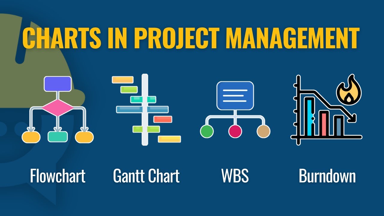 Master Project Management: Essential Charts You Need to Know for Success