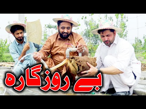 Berozgara Funny Video By PK Vines 2021 | PK TV