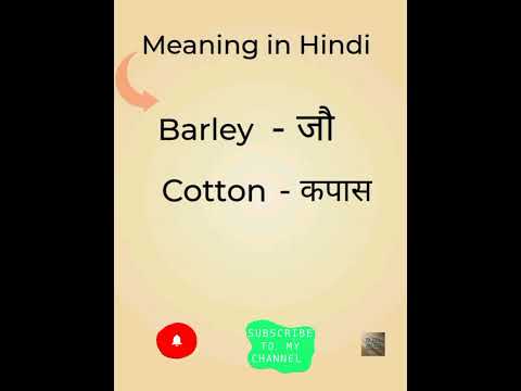 Barley, Cotton Meaning in Hindi.#Shorts#. Jhakas Entertainment