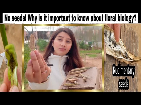 Floral biology || Importance and overview- By Pratibha Sharma || Plant breeding || Crop improvement🌟