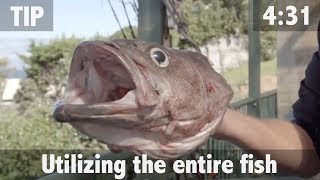 Ultimate Fishing