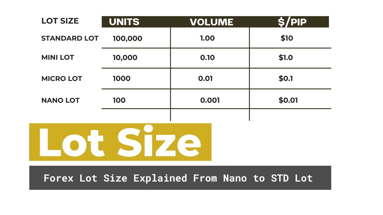forex lot size explained | Use Position Size Calculator | Forexbee