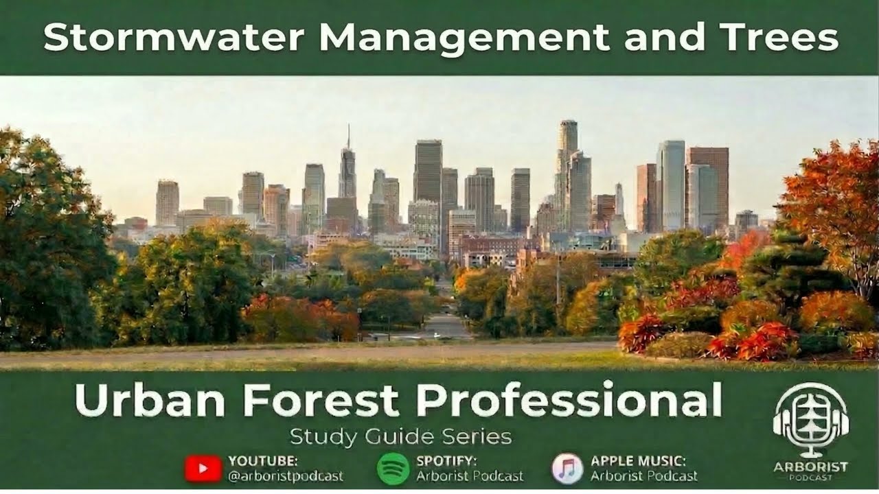 Stormwater Management: How Trees Prevent Urban Flooding (Ep. 18)#Stormwater #UrbanForestry