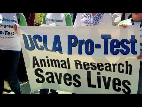 UCLA Pro-Test … in 1 minute (YouTube)! – Speaking of Research