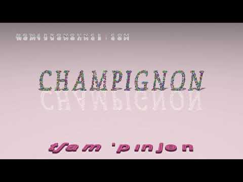 champignon - pronunciation + Examples in sentences and phrases