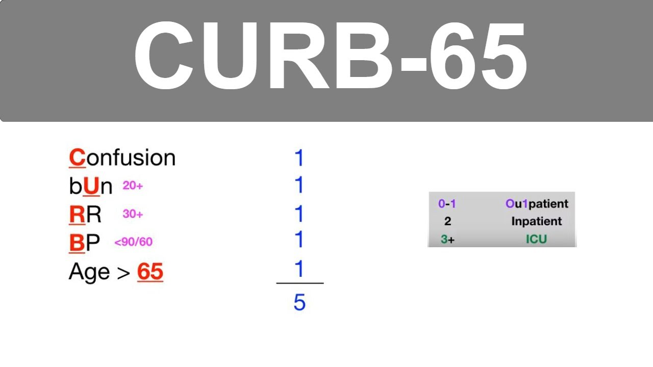 CURB-65 Pneumonia Scale