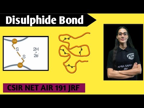 Disulphide bond -- Biochemistry #apnasapnajrf #csirnetlifescience Video ...