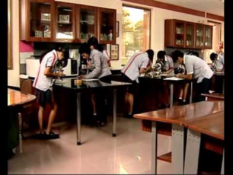G D GOENKA WORLD SCHOOL.mp4