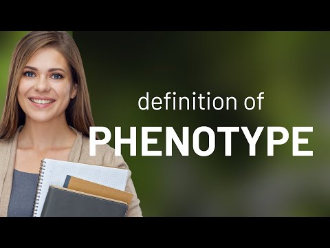 Phenotype — definition of PHENOTYPE