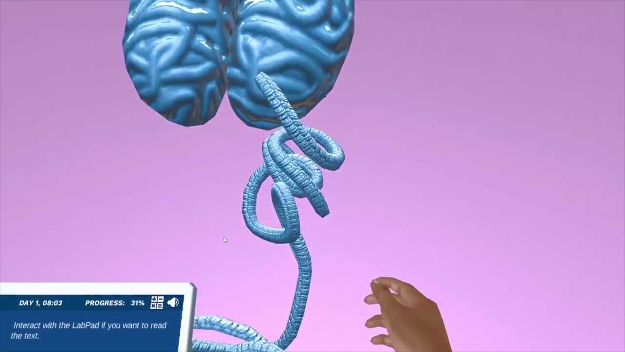 DNA: Structure and function | Virtual Lab