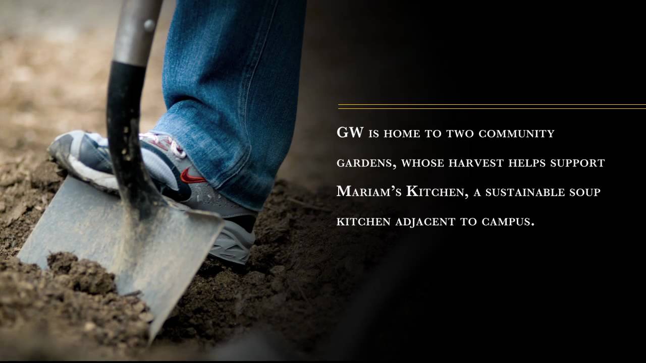 Sustainable Service at the George Washington University