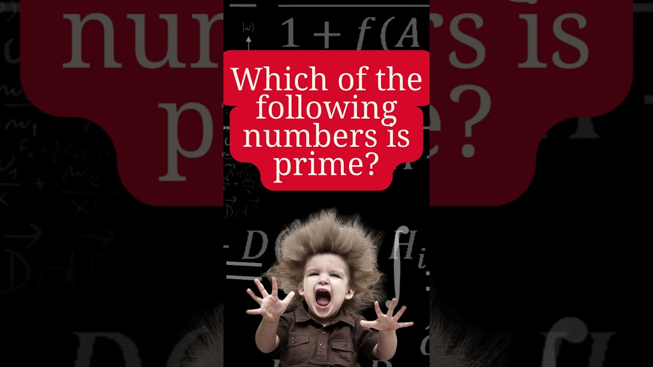 Enter the realm of prime numbers! Puzzle Master