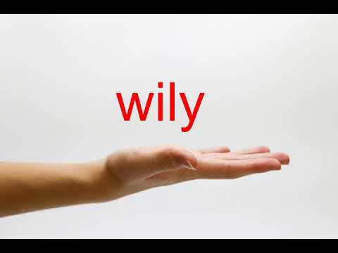 How to Pronounce wily - American English