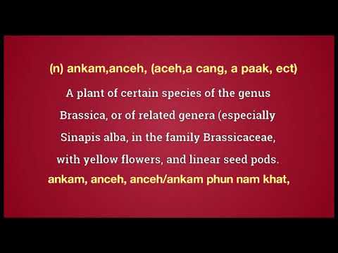 mustard meaning in English Ngawn