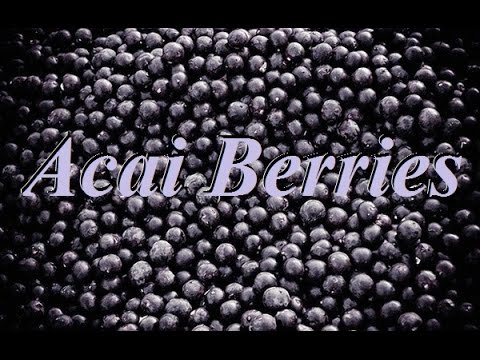 16 Health Benefits of Acai Berries