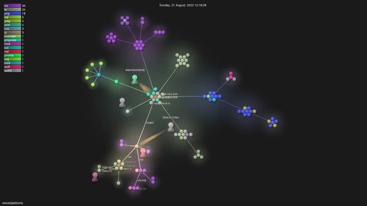 vercel/platforms - Gource visualisation
