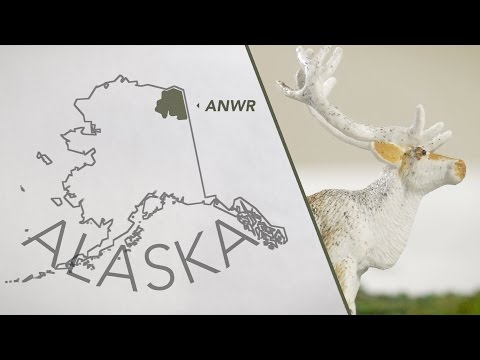 What is the Arctic National Wildlife Refuge?