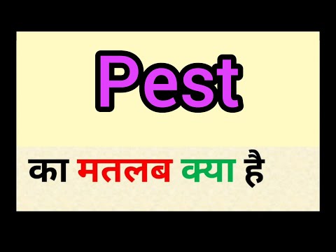 Pest meaning in hindi || pest ka matlab kya hota hai || word meaning english to hindi