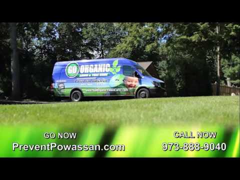 Go Organic Protect Your Family from Powassan