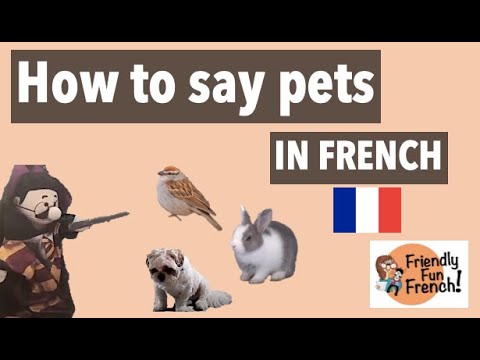 New Video : How to say pets in French – Face-to-face and Online French ...