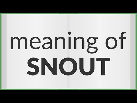 Snout | meaning of Snout