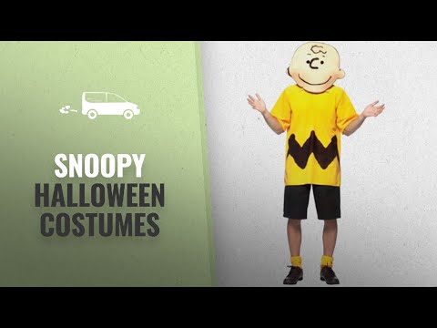 Our Favorite Snoopy Halloween Costumes [2018]: Charlie Brown - Peanuts - Adult Fancy Dress Costume