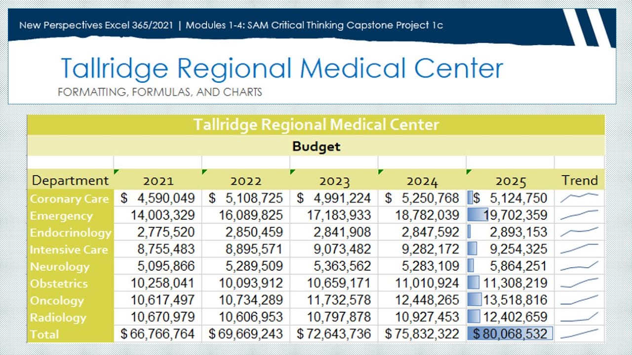 Excel Module 4 Capstone Project Tutorial