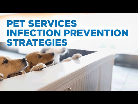 Pet Services Infection Prevention Strategies with Dr. Jason Stull | Rescue Disinfectants