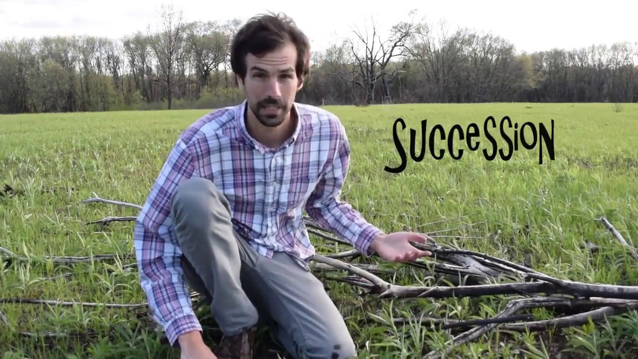 What's the Word: Succession - Real-world Ecology Lesson With Peter Kleinhenz
