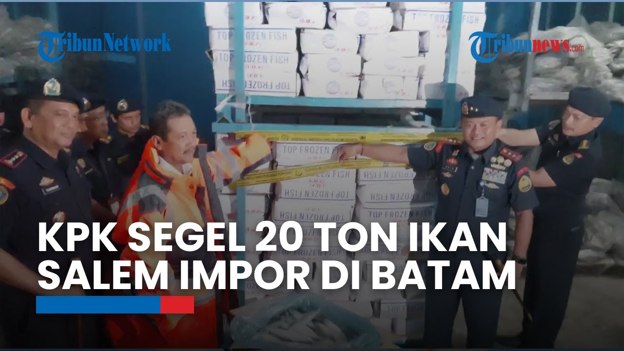 KKP Segel 20 Ton Ikan Salem Impor di Batam karena Tak Beredar Sesuai ...