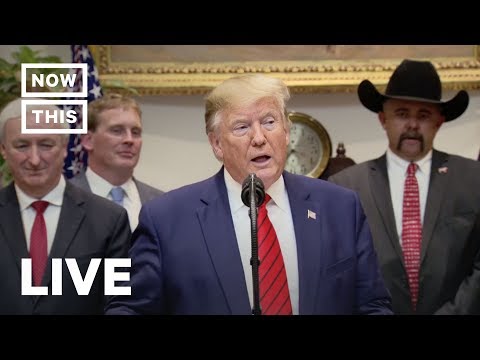 Trump Signs Executive Order on Transparency in the Federal Government | NowThis