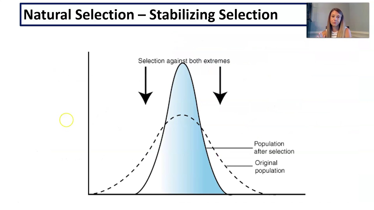 Mechanisms of Evolution 2020