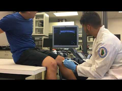 Quantitative Ultrasound to Prevent Tendon Injury (QUPTI)