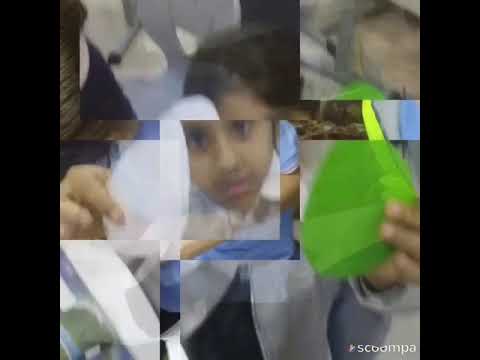 Desert leaves adaptation activity