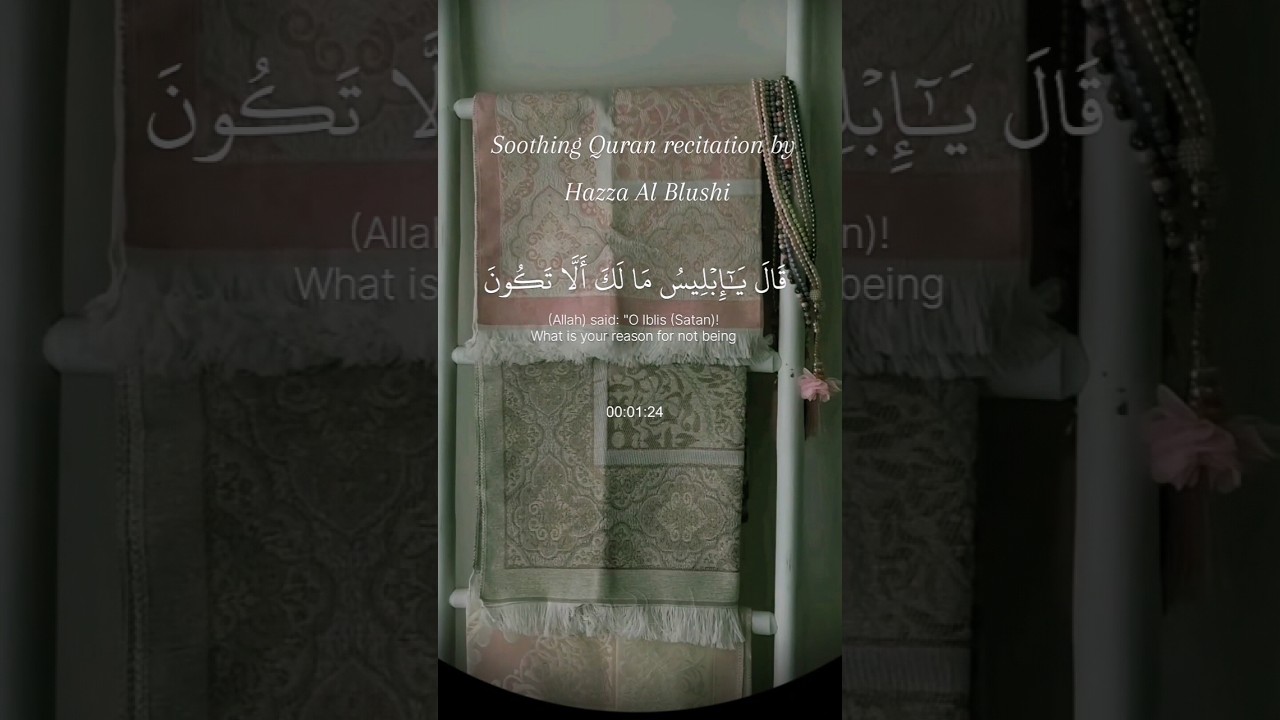 BEAUTIFUL QURAN RECITATION islam islamic islamicstatus explore quran